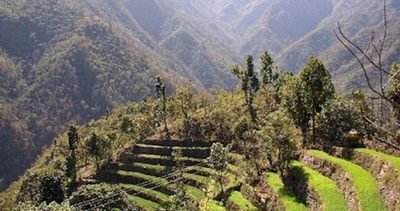 Natural Landforms Of India - MCQExams.com