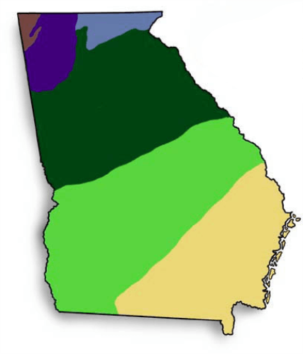 Five Regions Of Georgia - MCQExams.com