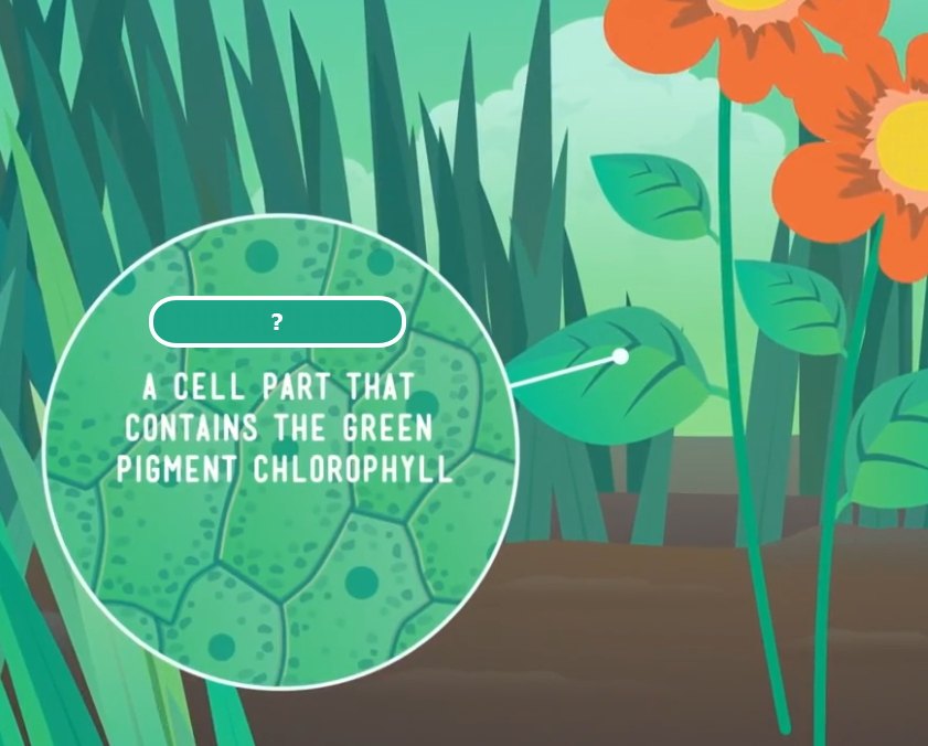 Vegetation Transformation Solution - MCQExams.com
