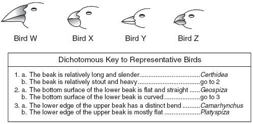 Dichotomous Keys & Taxonomy - MCQExams.com
